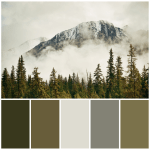 Color Inspiration: Moods of the forest – Creative Overthinker